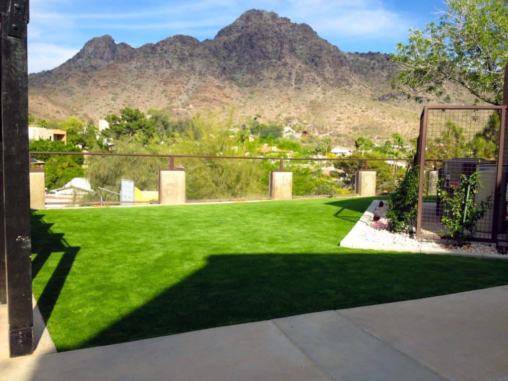 How Artificial Turf Responds to Arizona Heat – HOA.com Articles